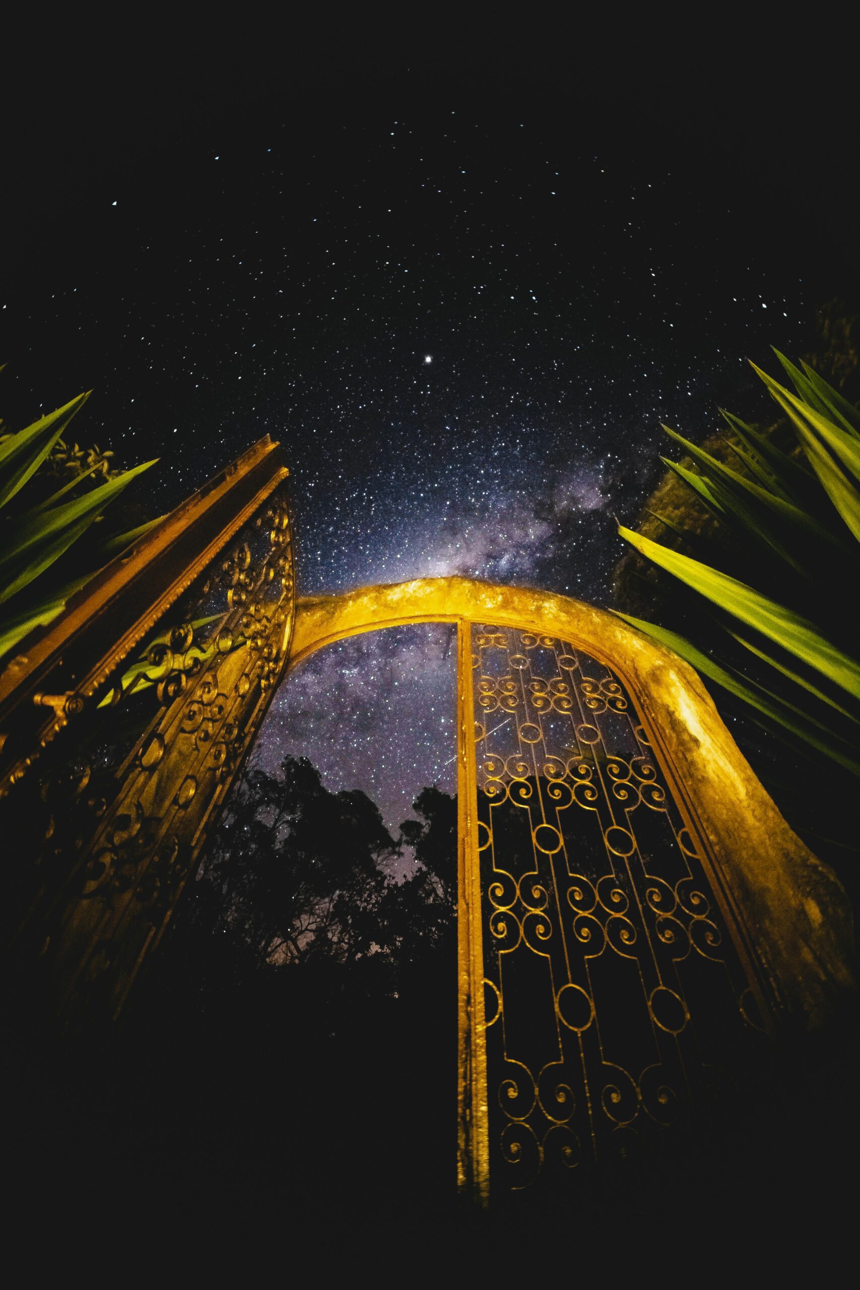 Understanding the Meaning of Gates in Your Dreams – Earthsoulorganics